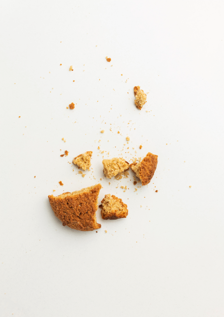 Biscuit Crumbs Manufacturer Supplier | Bulk Digestive Crumbs